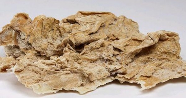 Şirdan Mayası ile Kargı Tulum Peyniri Nasıl Yapılır?